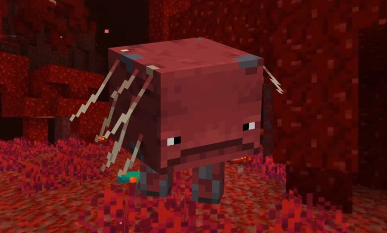 17 موجود قابل تکثیر در ماینکرافت - مجله مایکت